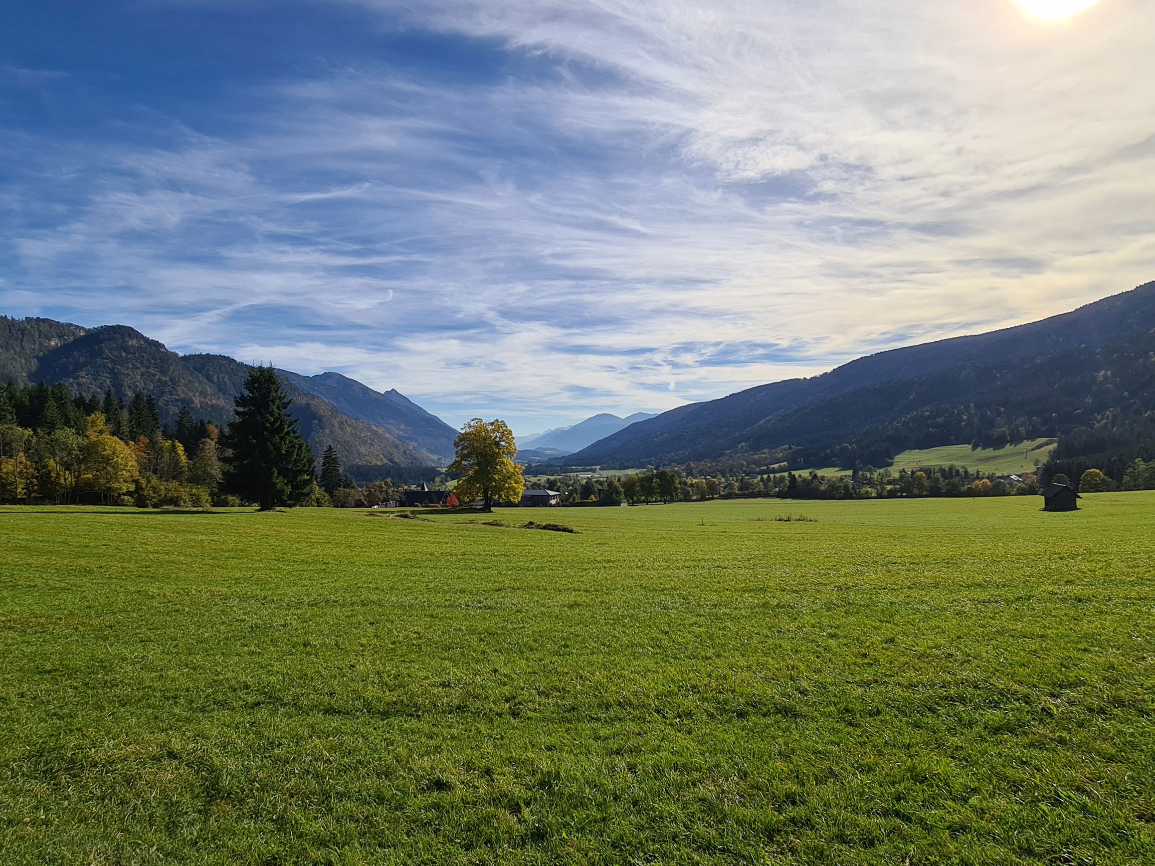 Kommt der Wolf jetzt bis ins Tal? - Portale News