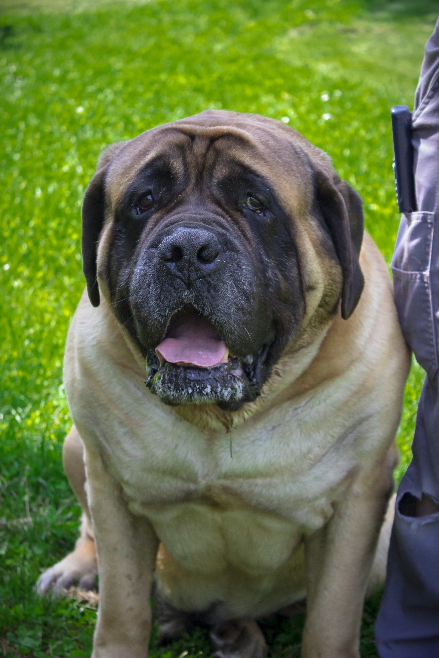 Wir suchen ein Zuhause! - Portale News